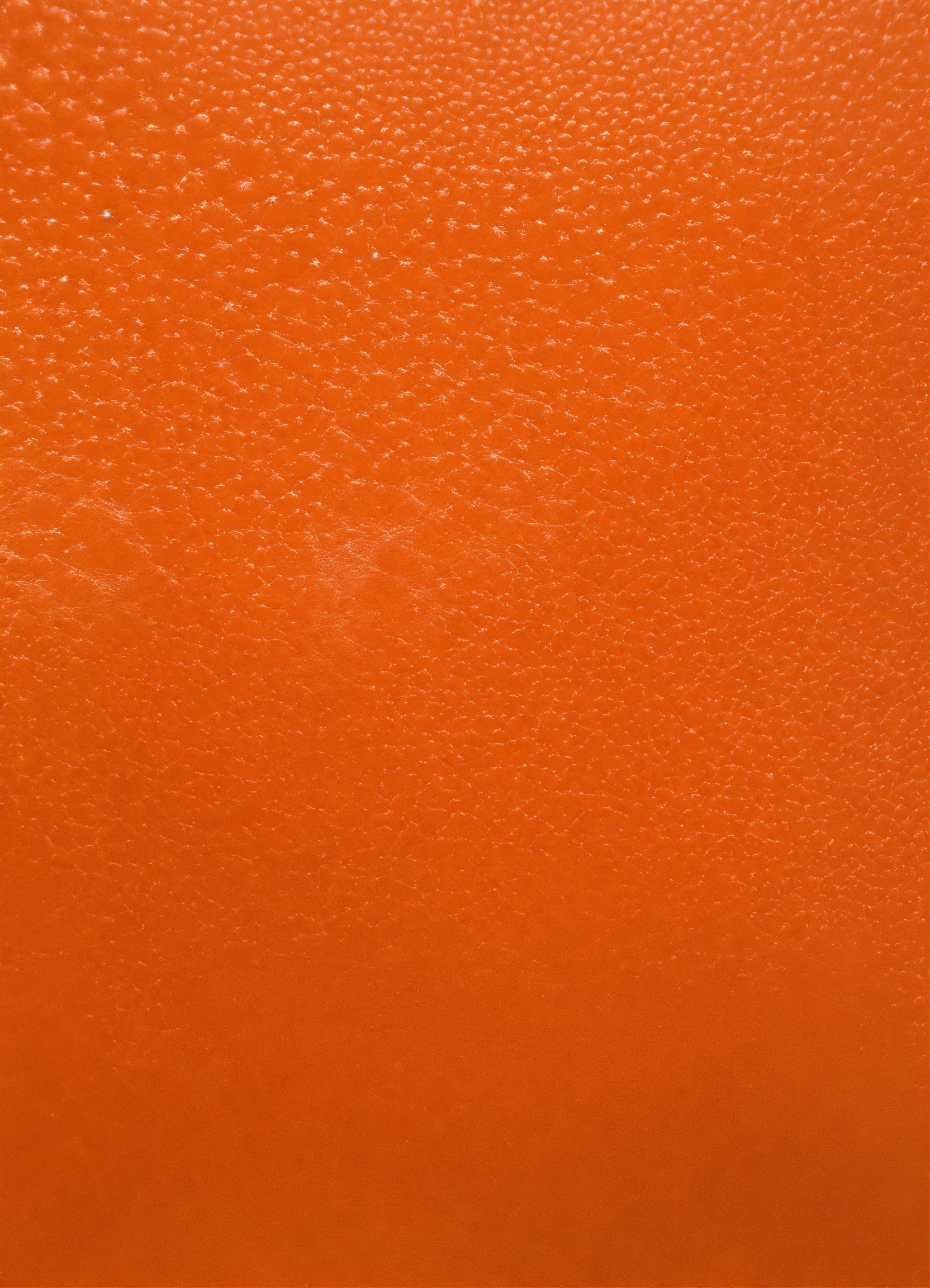 Lexica - Dard orange leather with lily of florence