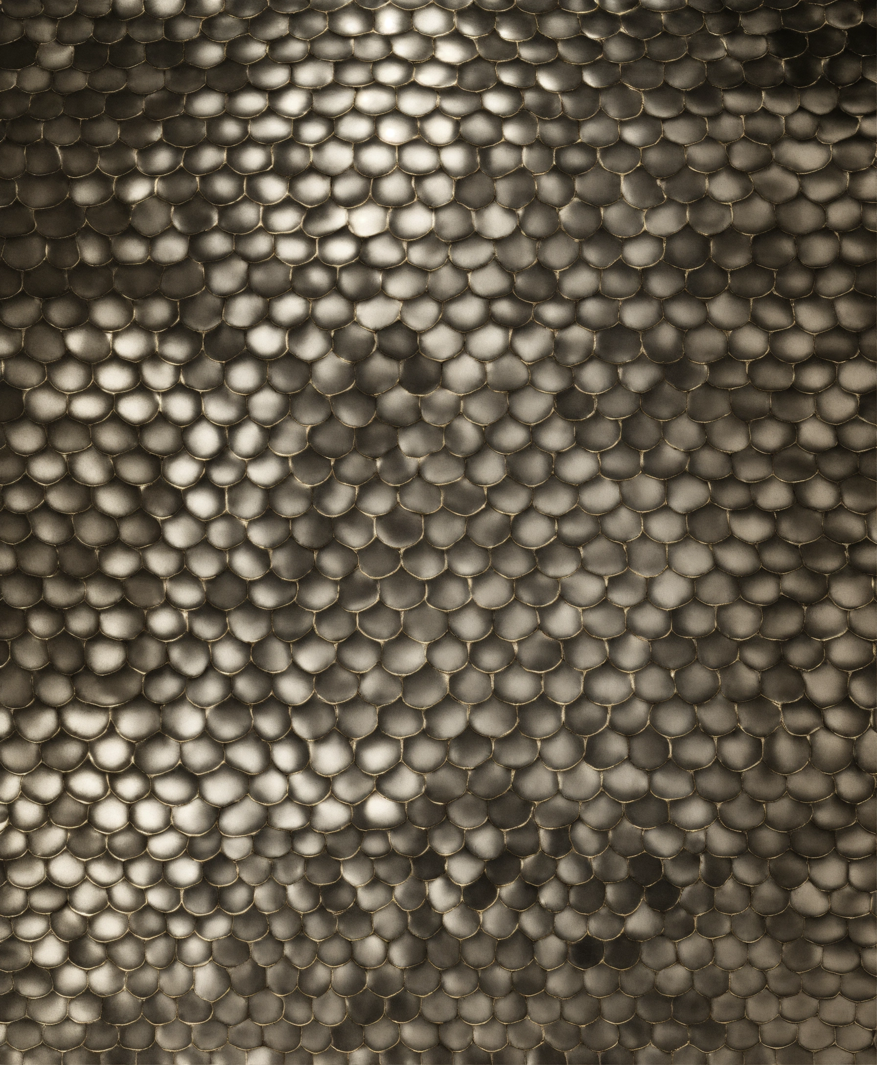 Lexica - Snake scale pattern in palatial silver, animal print, silver