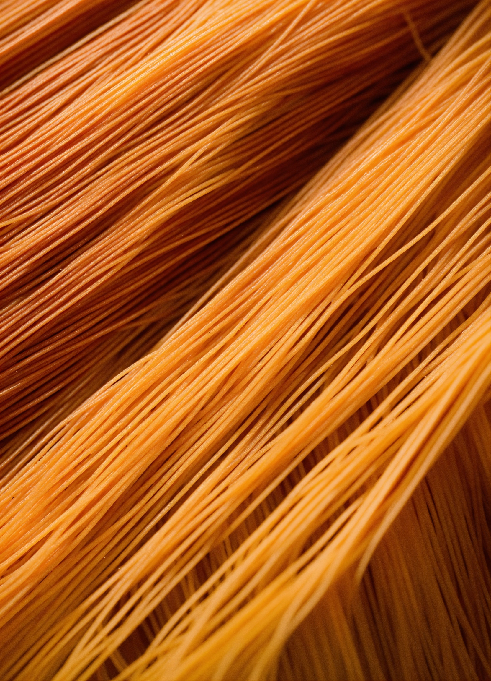 Lexica - Thousands of strands of spaghetti, abstract and minimalistic.