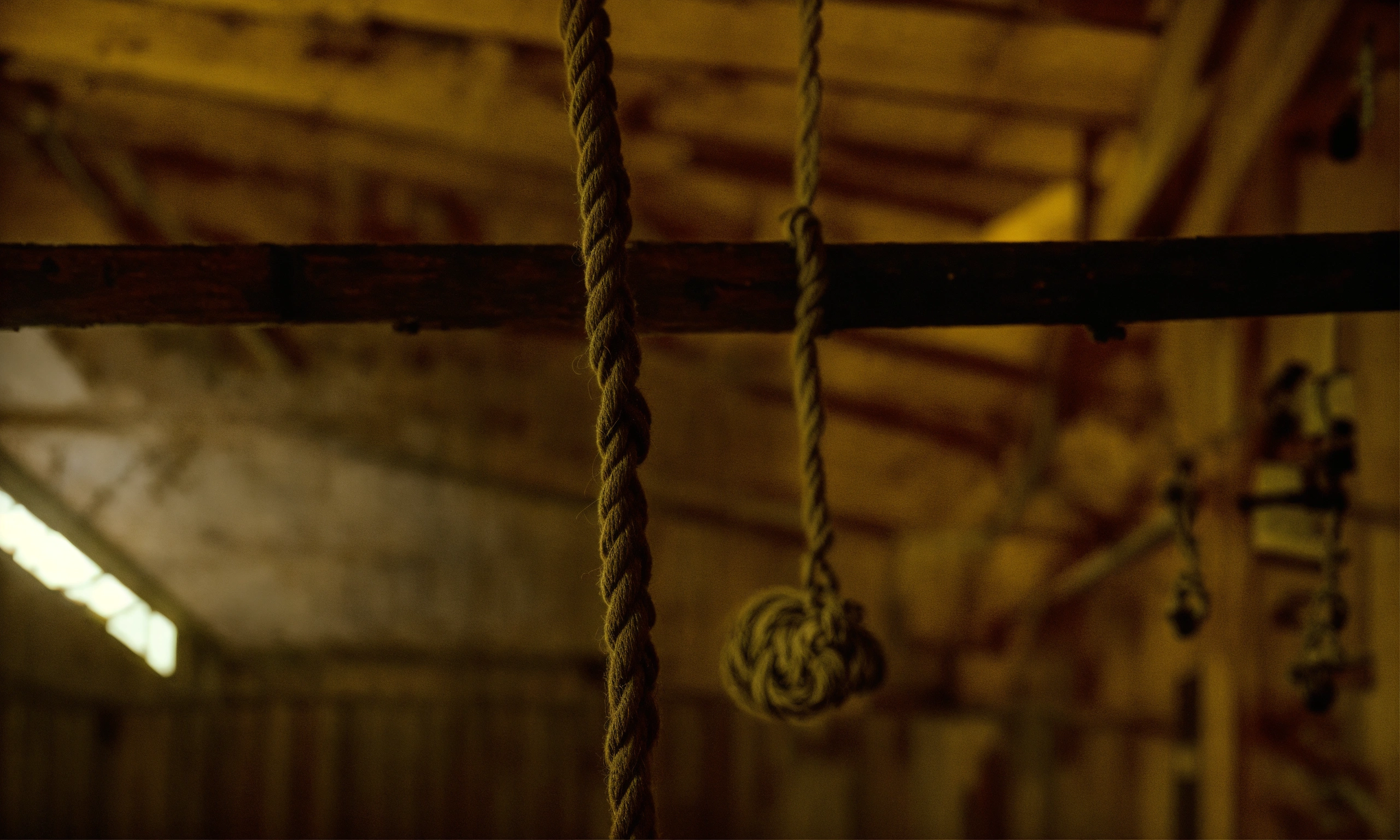 Lexica - A noose in a barn