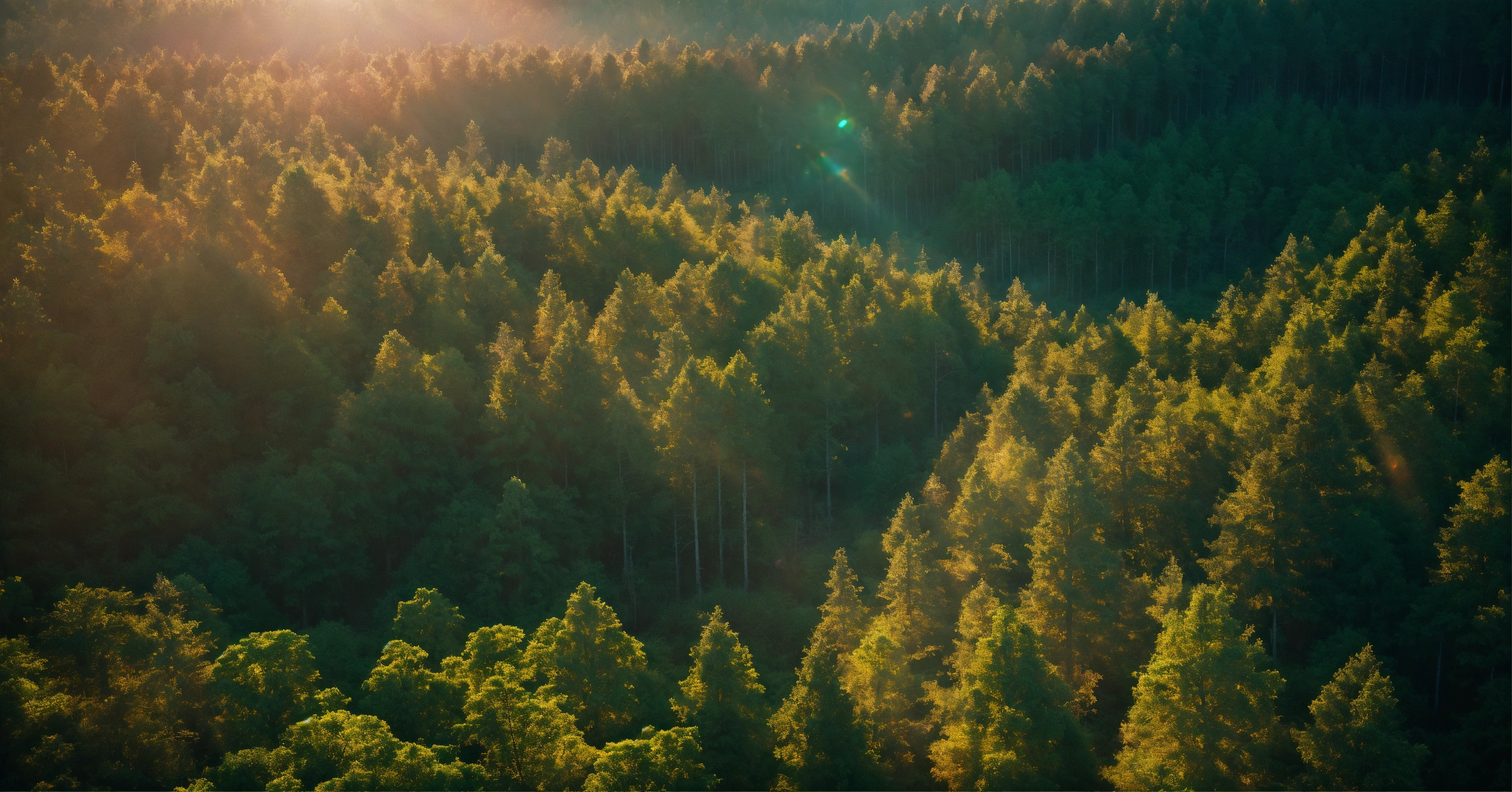 Lexica - Overhead view of forest, Pixar style, intricate detail, film ...