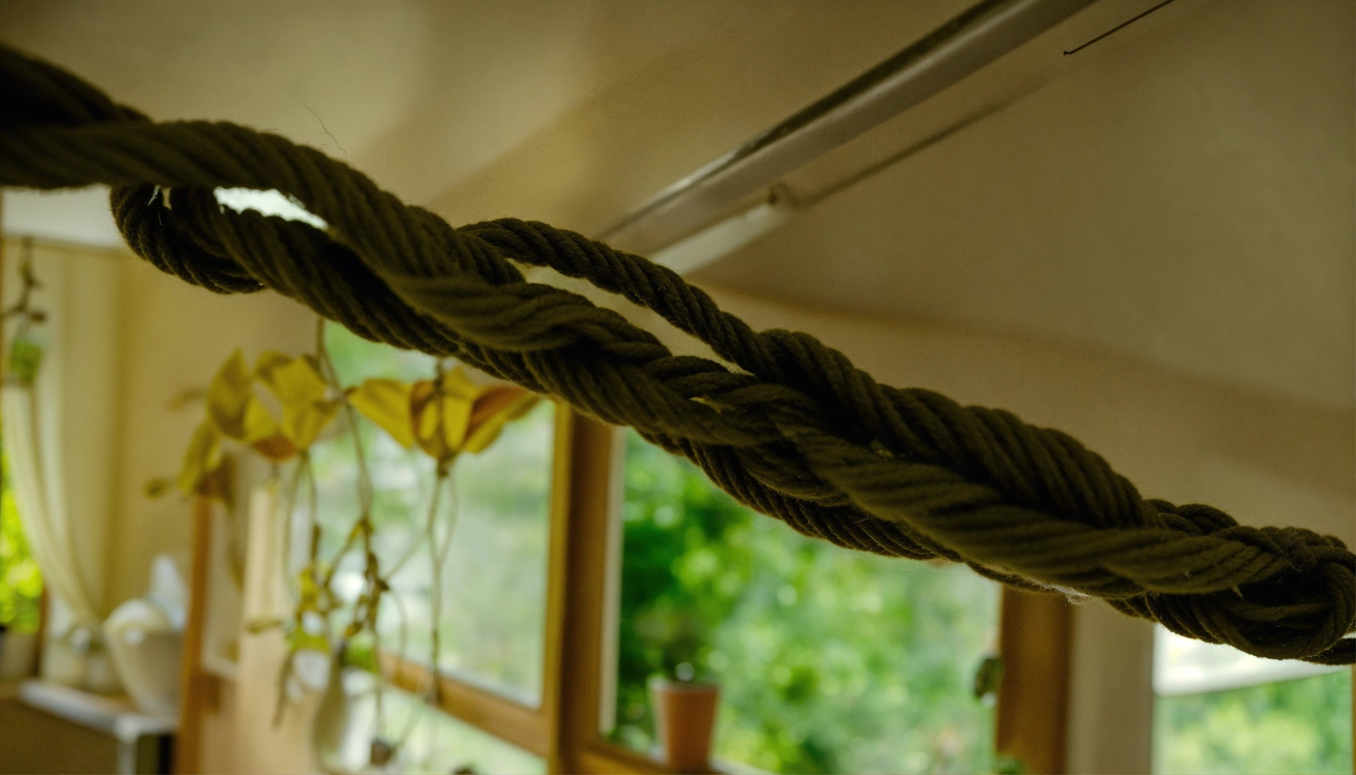 Lexica - Loose clothesline ropes in the kitchen of a typical old ...