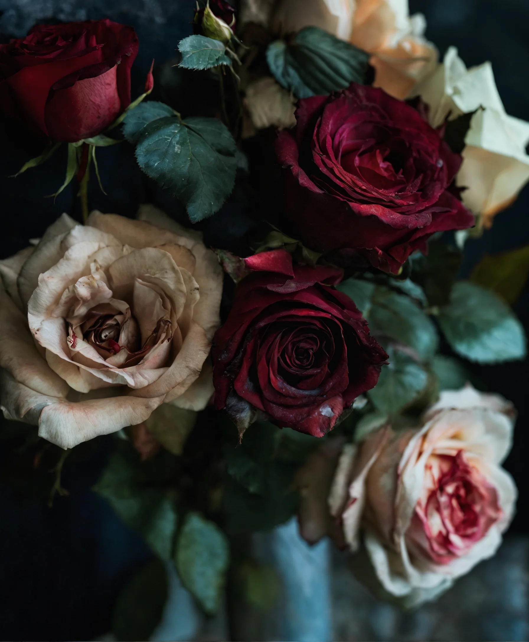 Lexica - A close up rustic bohemian display of roses in a dark Annie ...