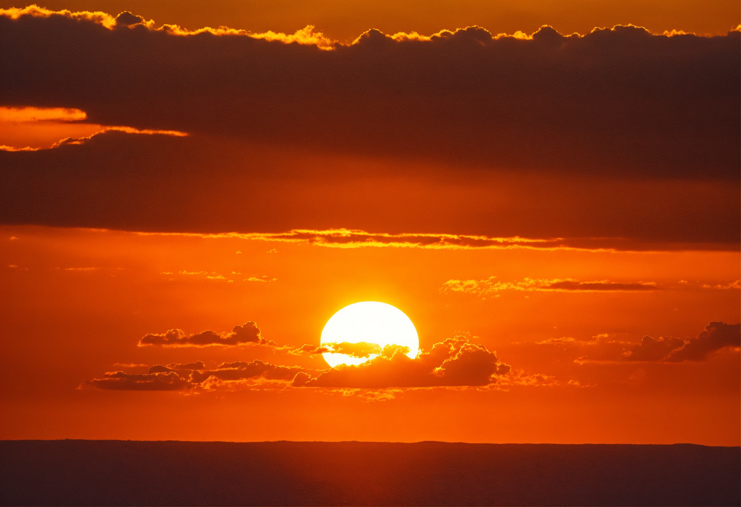 Lexica - Golden sunset. horizon. the sun is massive. super zoom in on ...