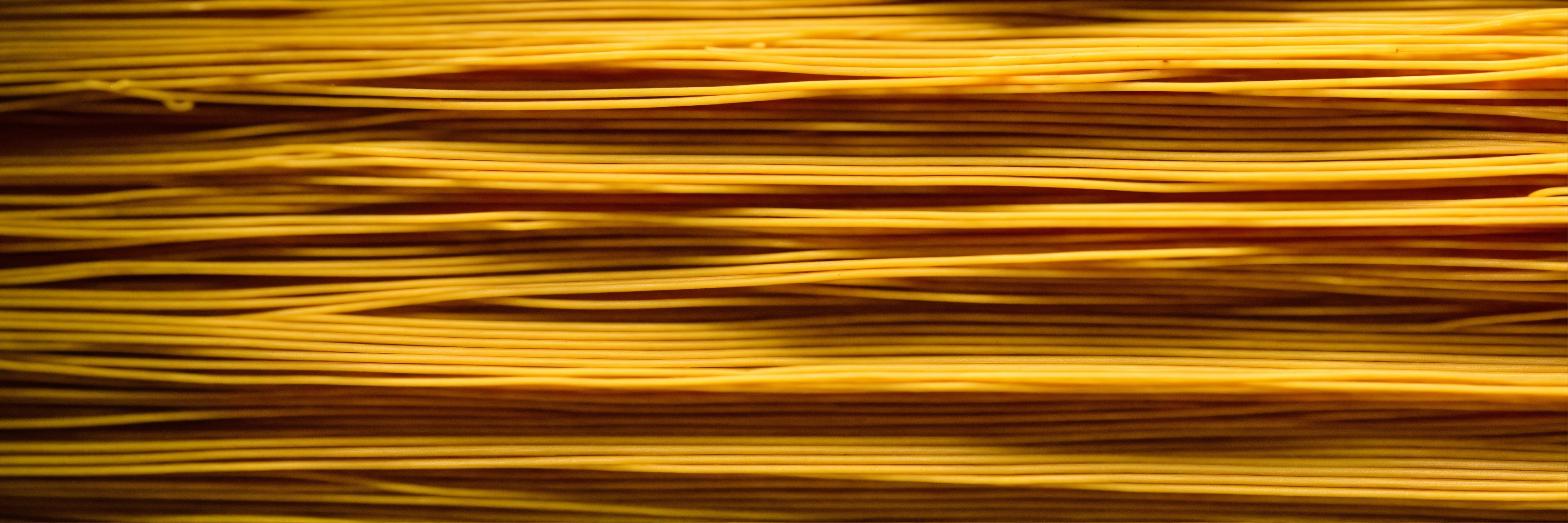 Lexica - Thousands of strands of spaghetti, abstract and minimalistic.