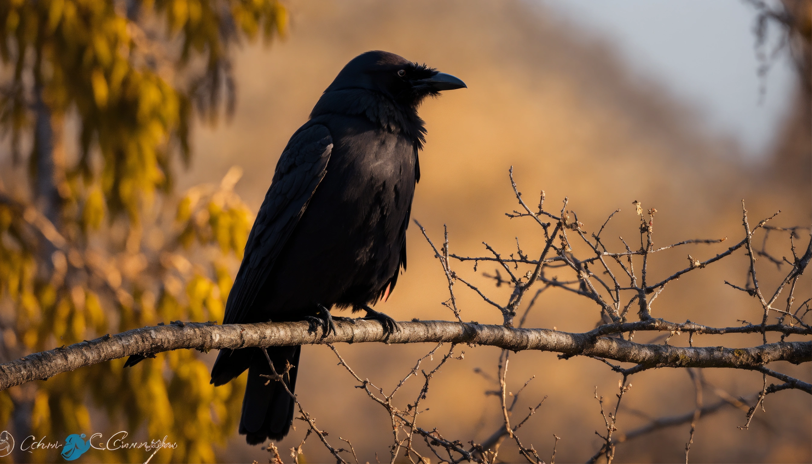 Lexica - Describe a crow perched on a leafless tree branch on a cold ...