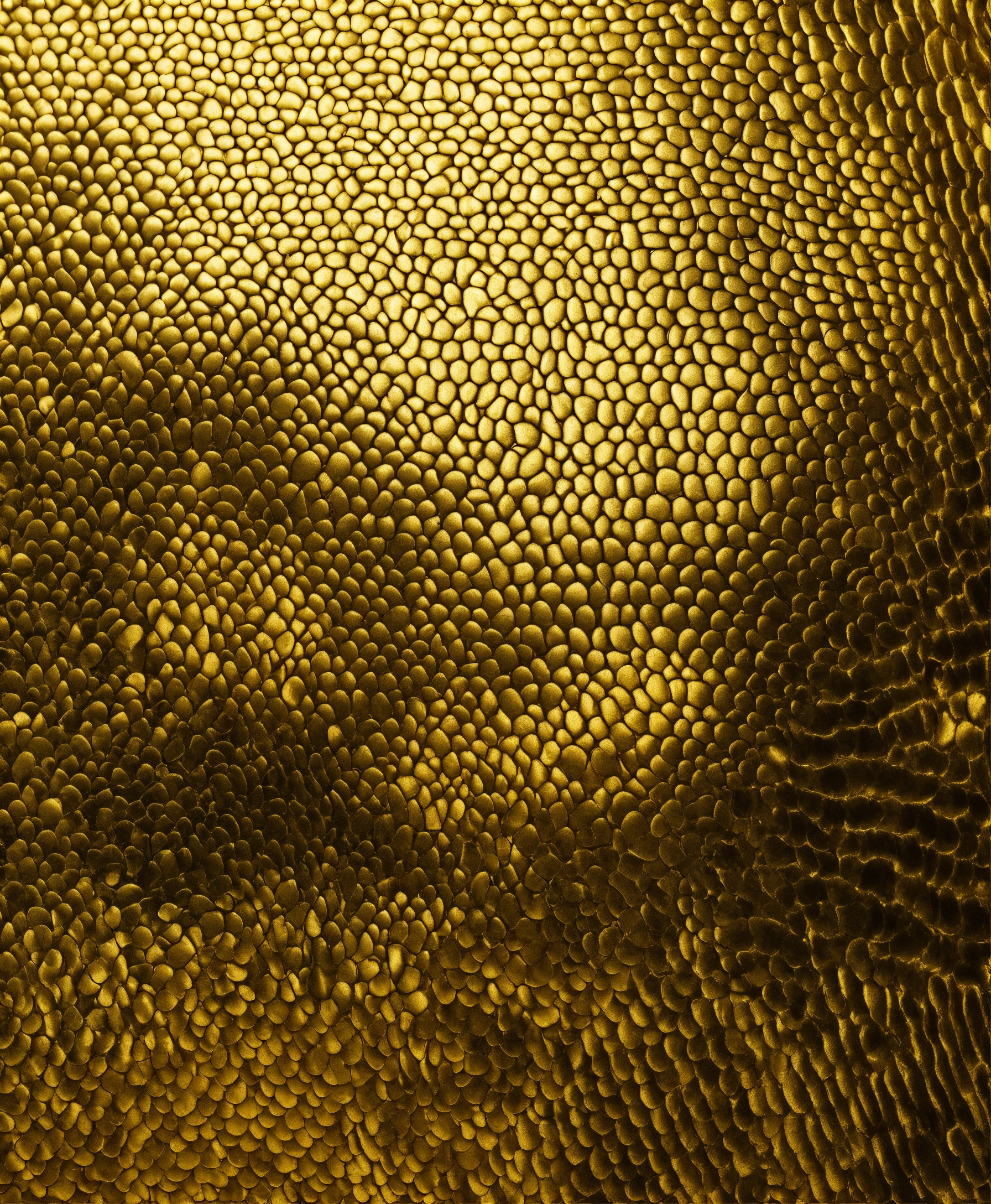 Lexica - Fishscale pattern in palatial gold, microscopic print